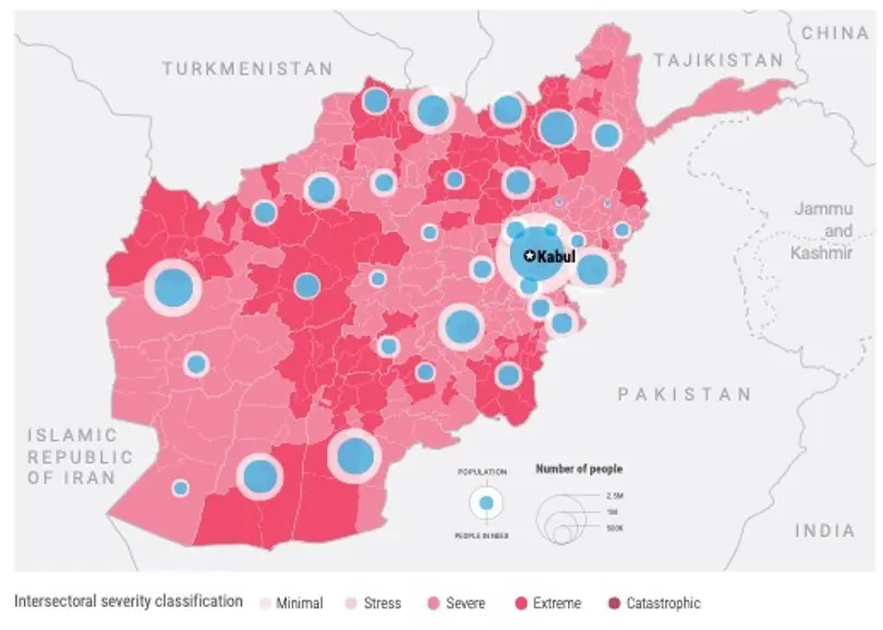 Protracted Displacement and the Complex Vulnerabilities of Internally ...