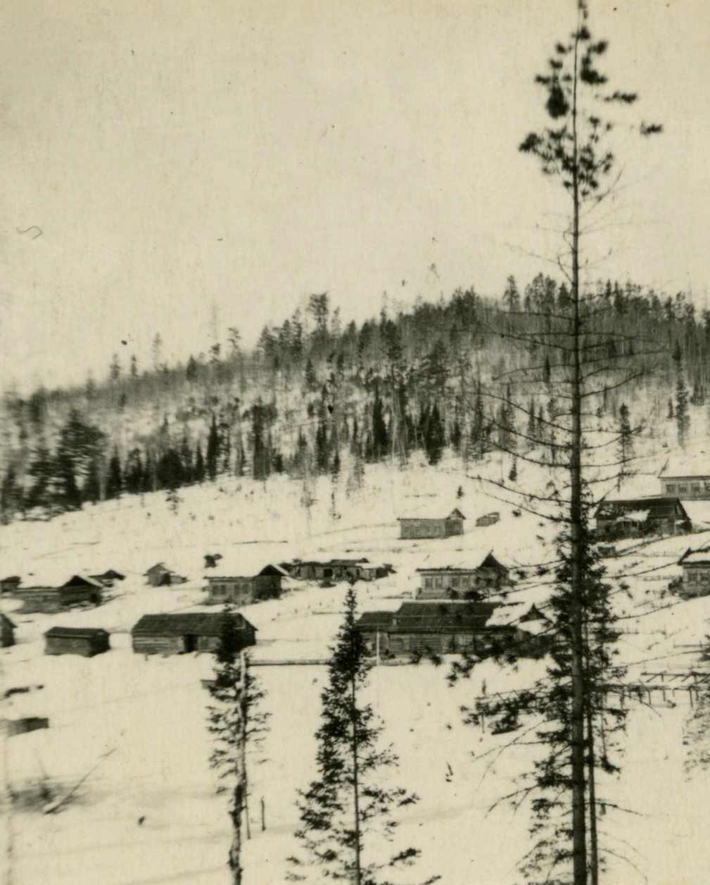 The Mass Deportations of Lithuanians during the Two Soviet Occupations ...