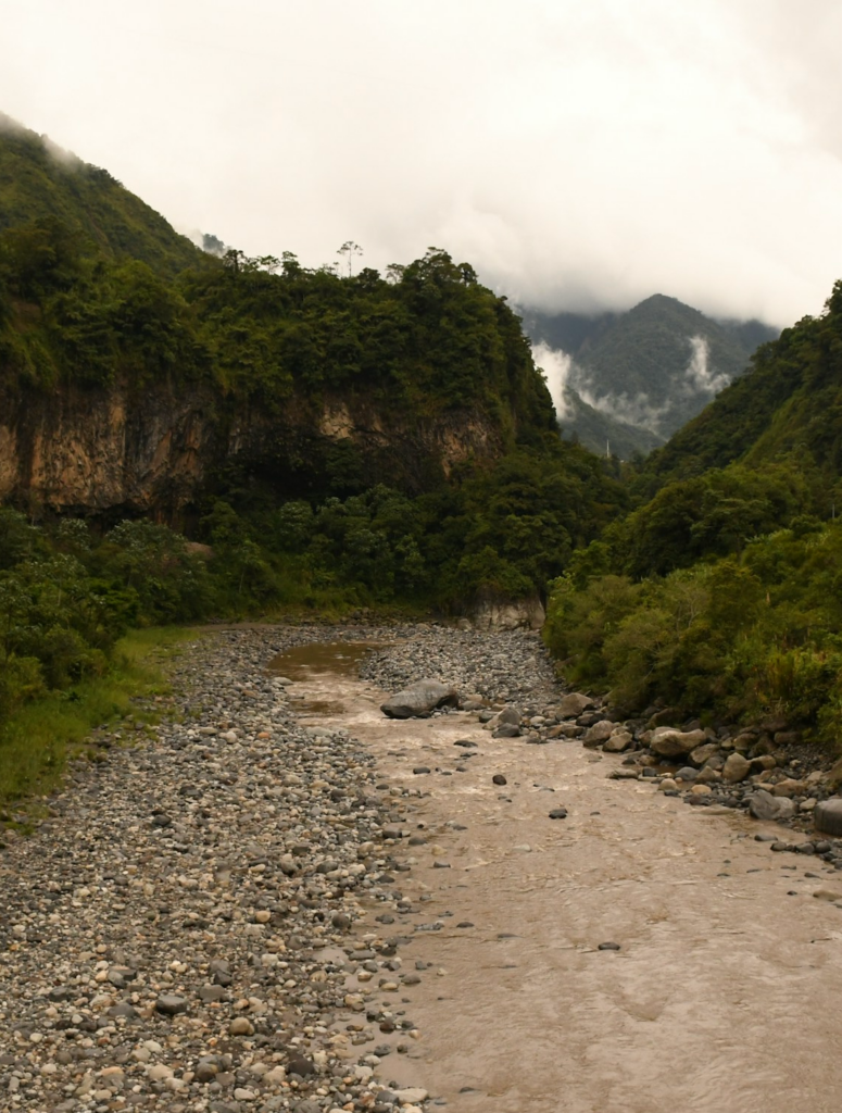 Development-Induced Displacement of Indigenous Communities in Ecuador ...